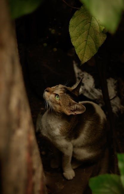 2023 UPS Contract Pay Scale PDF | New Rates & Benefits Guide